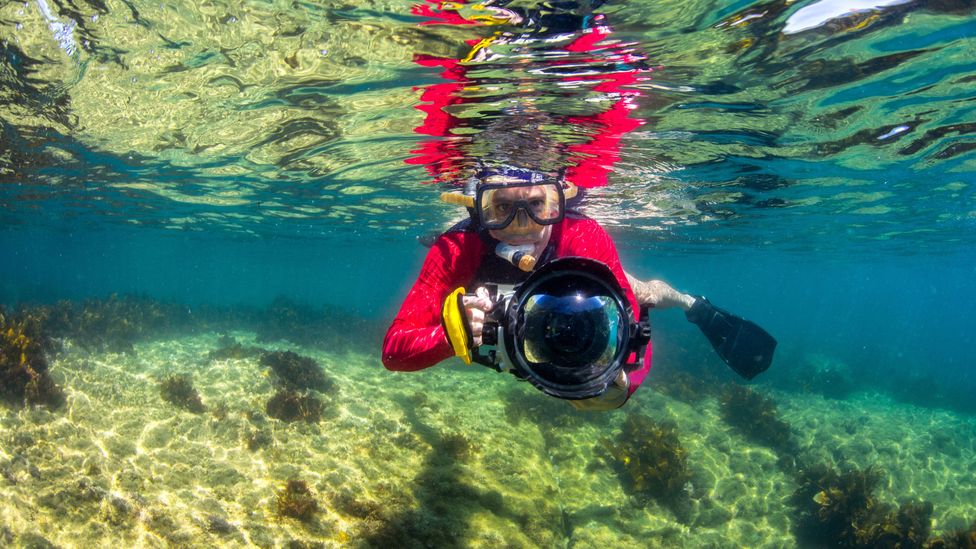 Reasons to Love the World - BBC Travel